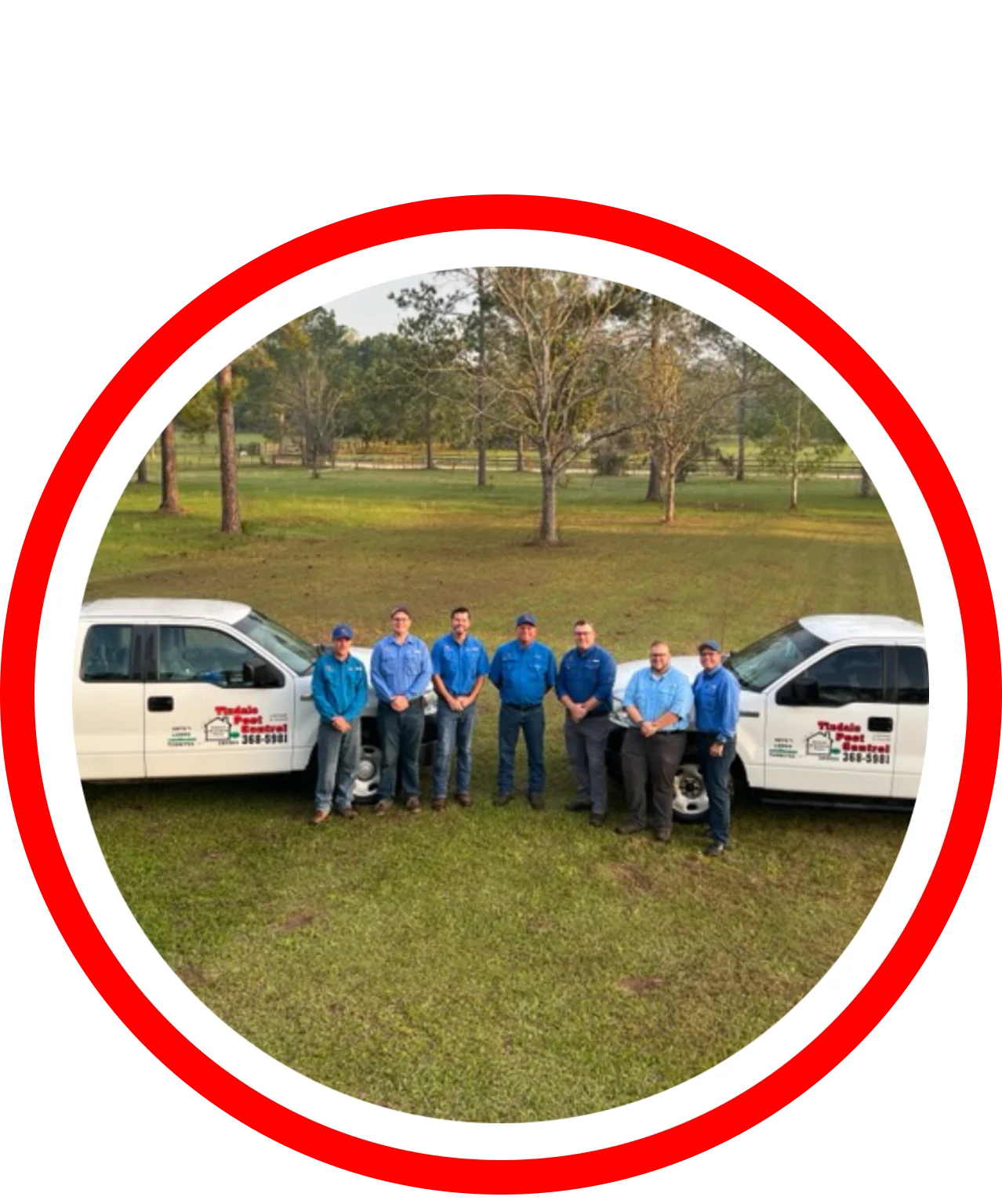 Tindale Pest Control | Serving Ocala, FL since 1999